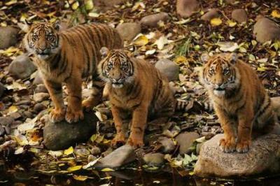 SABADOS EN BICICLETA: abril 2012