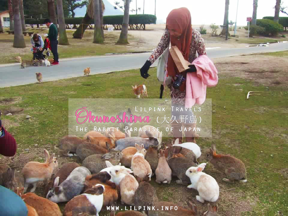 Ōkunoshima (大久野島): The Rabbit Paradise of Japan / LILPINK | A Hijabi's ...