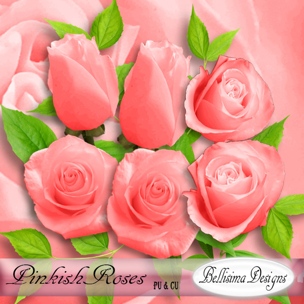 Bellisima Designs : Pinkish Roses