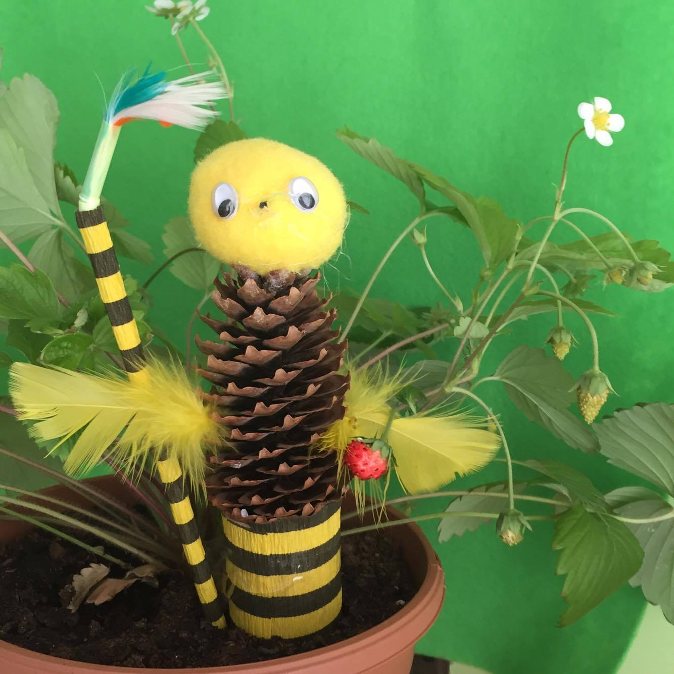 Pilvetriinud: Kuulutus, kuulutus! Pilvetriinudest maasikasõbrad annavad ...