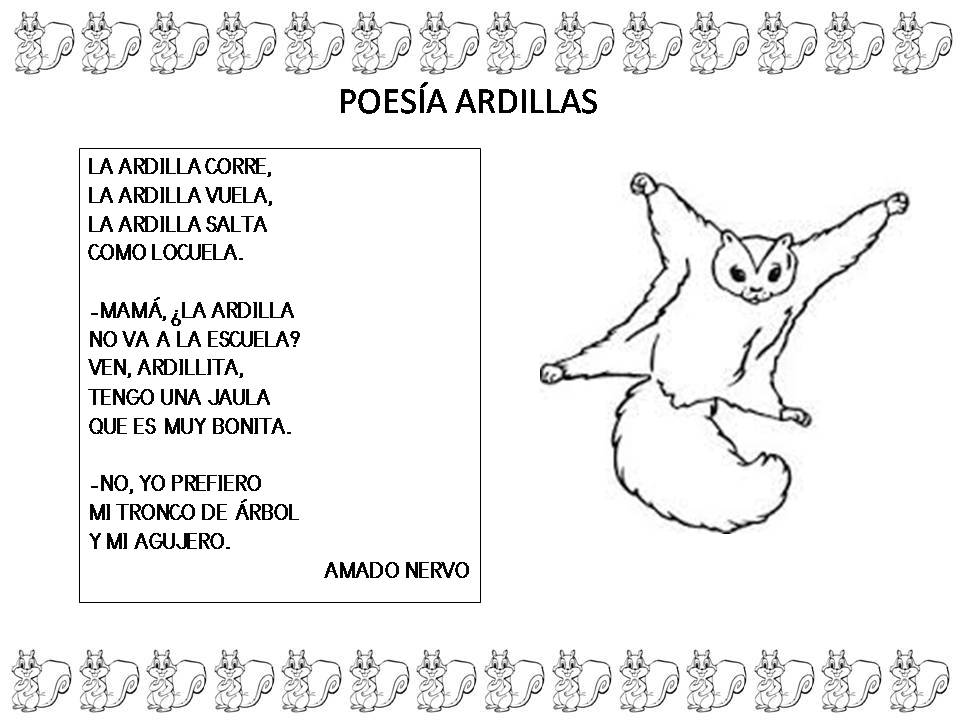 PROYECTO "LAS ARDILLAS"