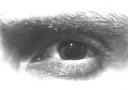 Sínodo Coria Cáceres: LA MIRADA DEL SÍNODO: Con ojo avizor