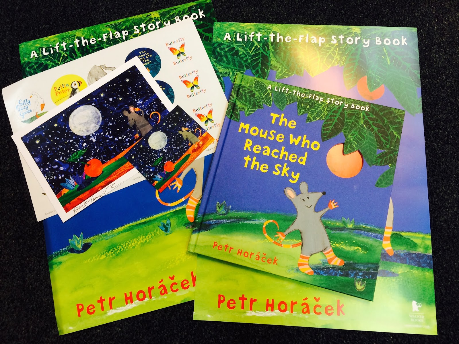 Picture Book Party: Picture Book of the Month: Petr Horáček's The Mouse ...