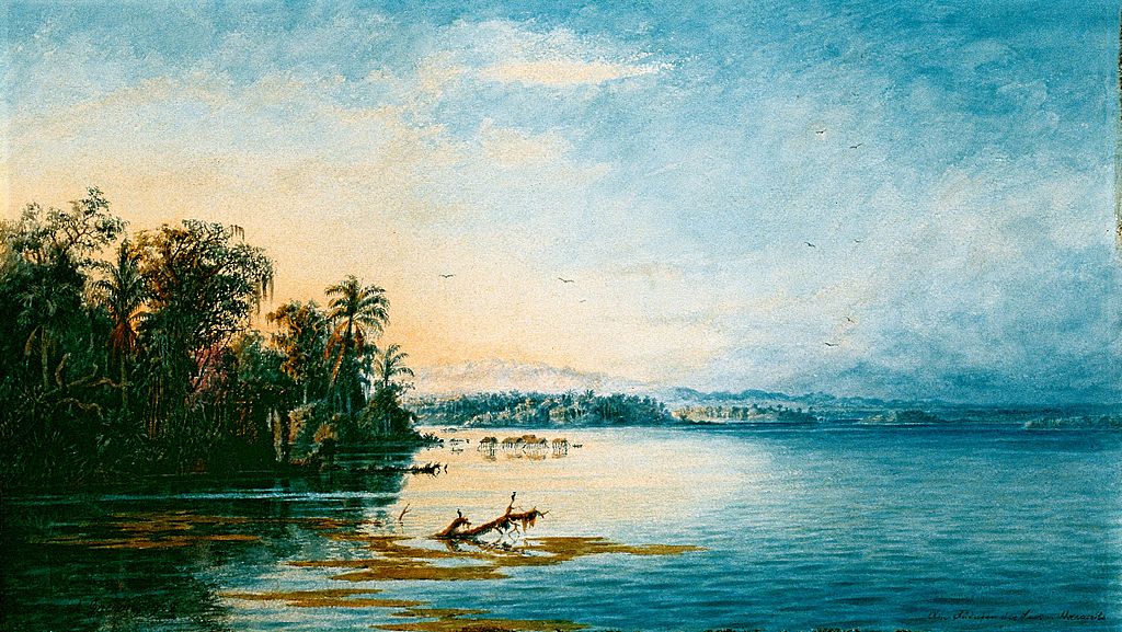 Museo: Lago de Tacarigua. Costa de esmeralda desde el Josefina.
