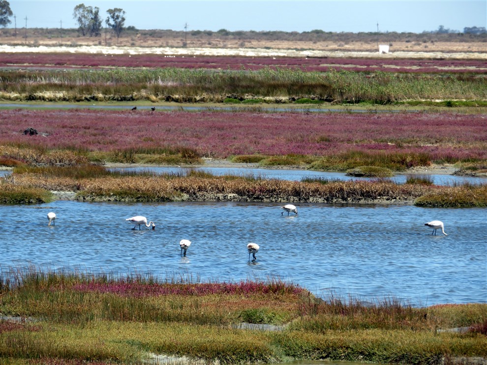 1camera1mom: The Estuary and Bokkomlaan at Velddrif