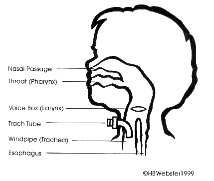 SMARDy Pants: Anatomy of a Trach