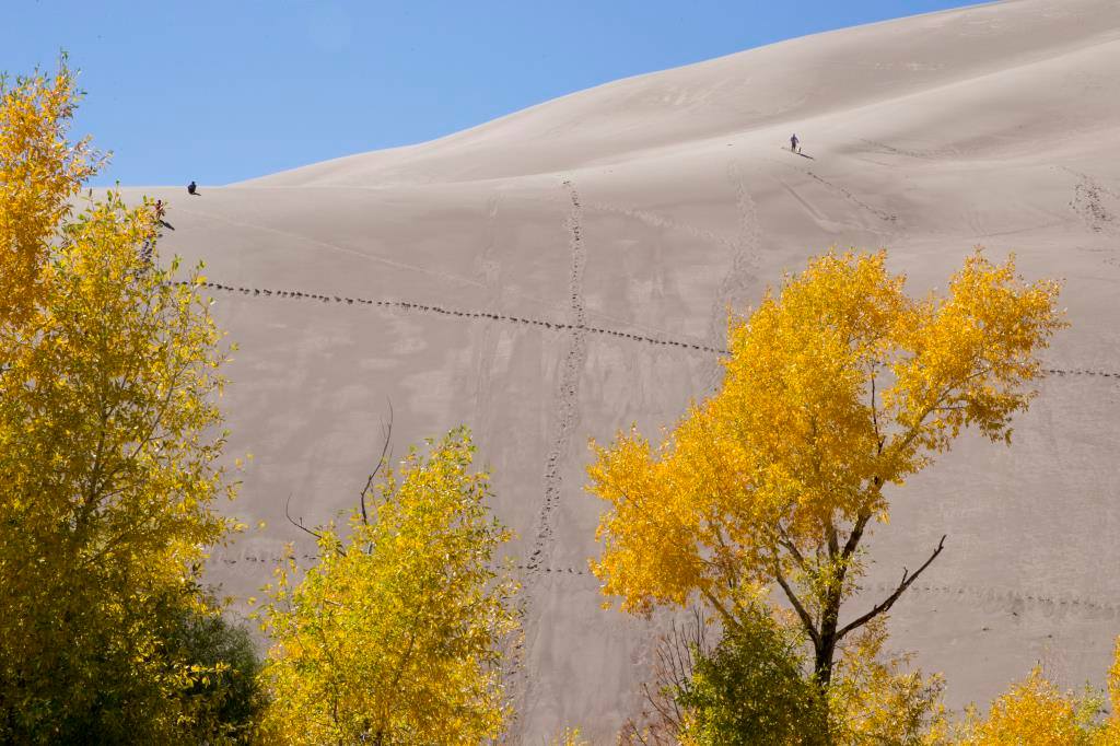 The View from the Pizer: Medano Pass and the Great Sand Dunes