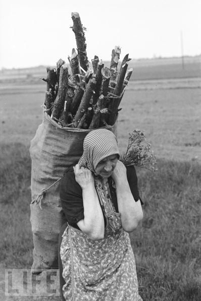 Bieganski the Blog: Inside the Mind of a Bigot