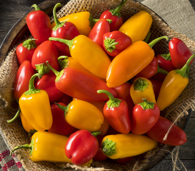 10 PIMENTAS PRA QUEM NÃO GOSTA DE PIMENTAS - Confraria da Pimenta