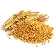 IL GRANELLINO DI SENAPE