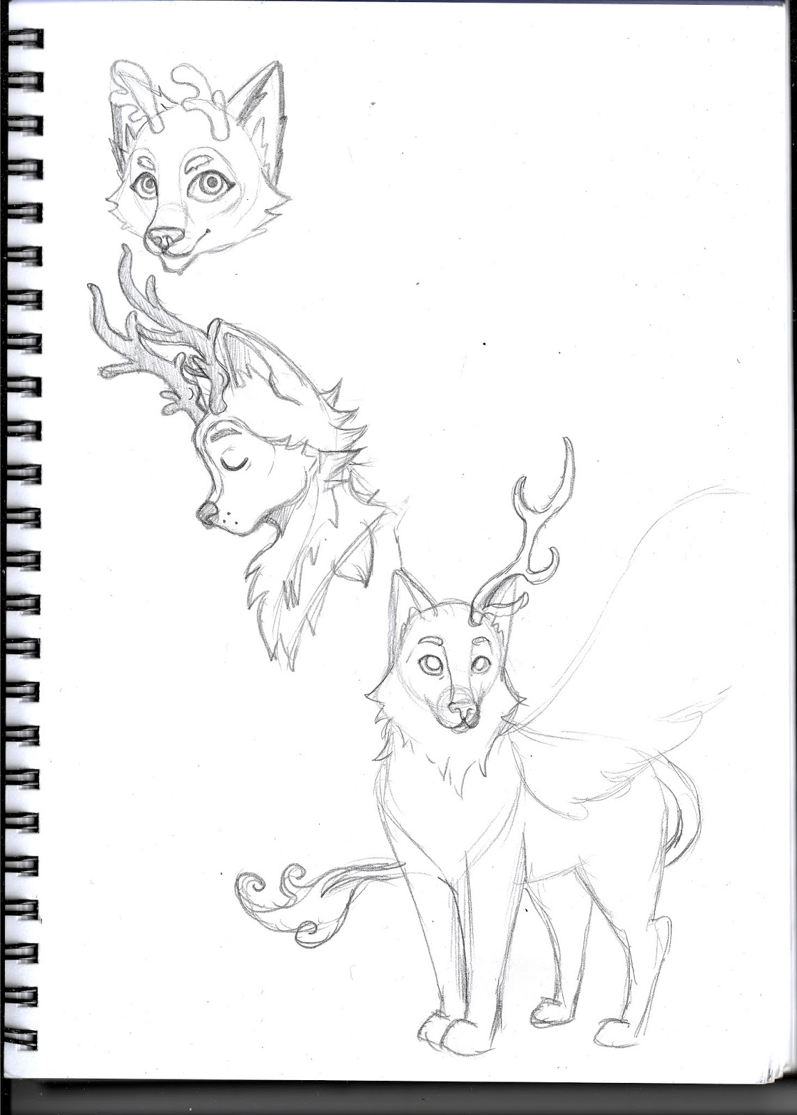 Gabbi Slater - Professional Practice : Character Design Challenge ...