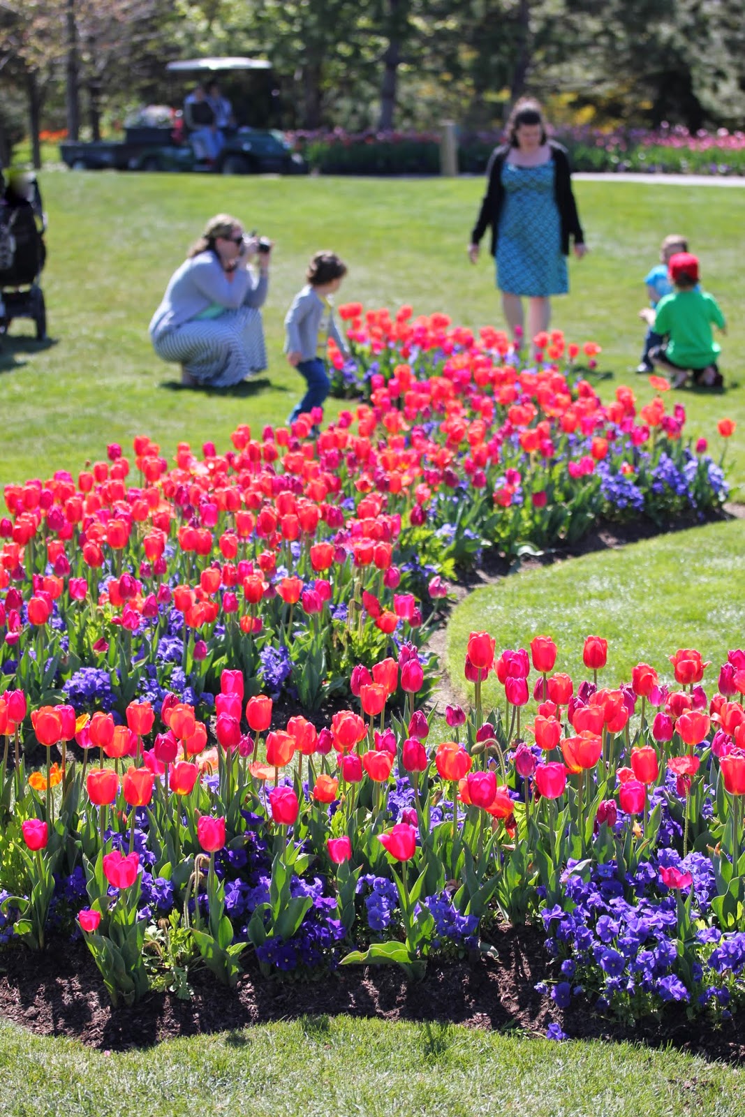 Jill's World of Research, Reaction and Millinery: A Colorful Weekend ...