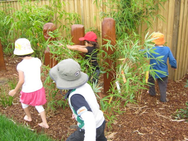 Timber Creations: Natural Play