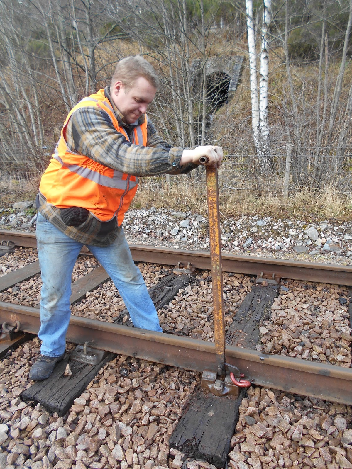 On Track at the Strathspey Railway: Pan 11 Near Broomhill - 5th March 2016