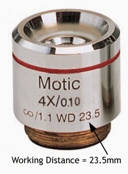 Microscope World Blog: Microscope Working Distance