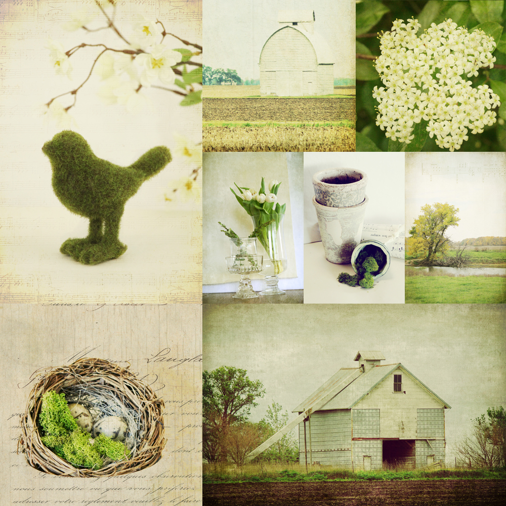 Color Inspiration: Green | Life-n-Reflection