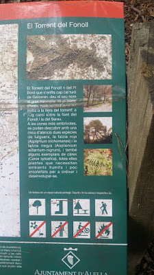 SOM DE PÍCNIC: Àrea de pícnic Font del Fonoll, Alella, Maresme