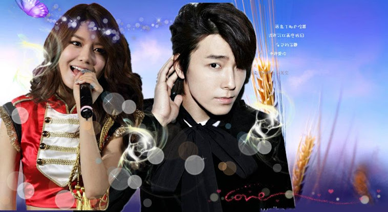 Soo Young Shi Dae (수영시대)