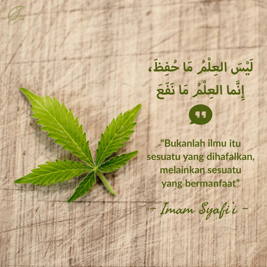 Ilmu; Bukan Yang Dihafal, Tetapi Yang Bermanfaat (Imam Syafii) - Syarif.id