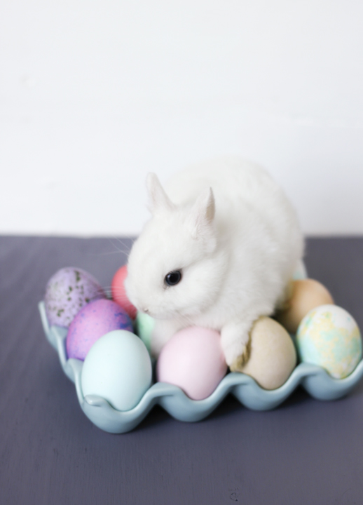 Always With Butter: Easter Eggs & Baby Bunnies