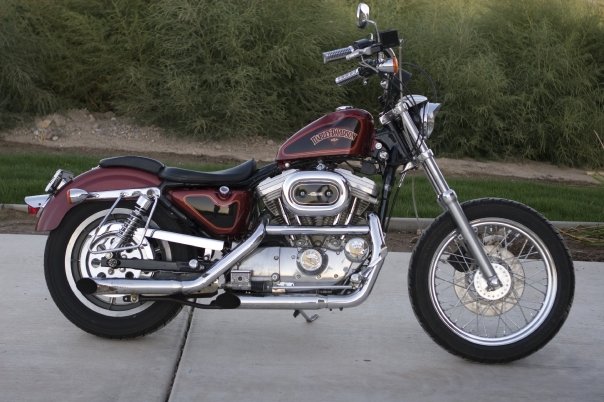 Charlie Horse: 1995 Sportster before the chop