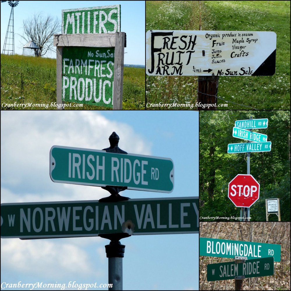 Cranberry Morning: Visit to the Amish