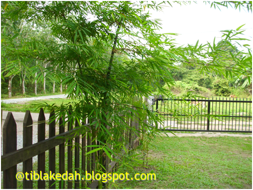 TERATAK IMPIAN BUKIT LALA: Jun 2012