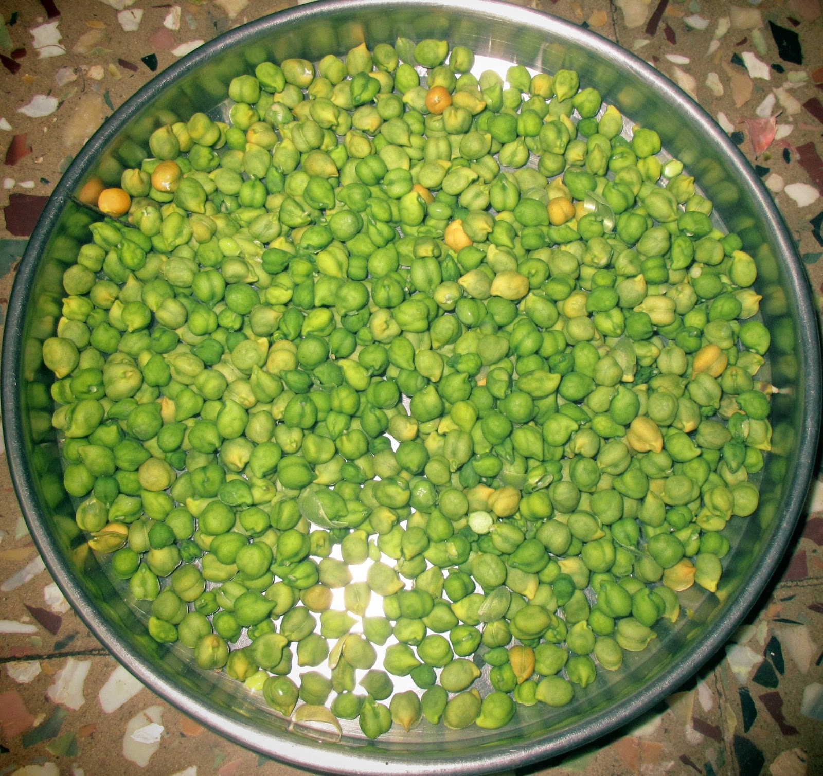 Archies Authentic Touch: Hara Choliya Dahi Ka Chounk / Seasonal Soppu ...