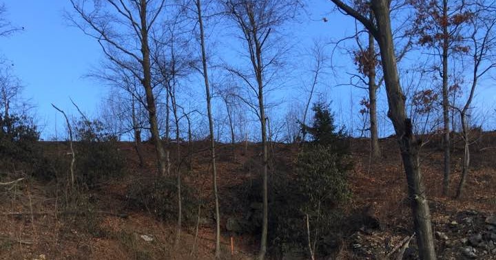 Florida Coalcracker Chronicles: Coaldale Number 8 Mine This Morning