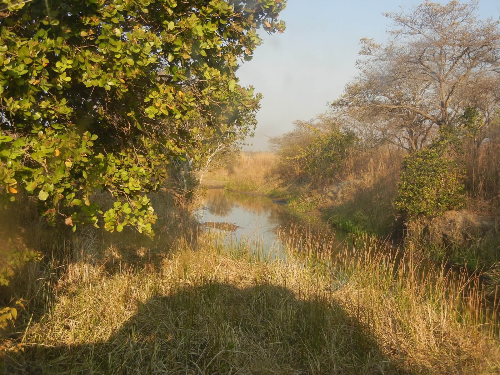 Leo in Malawi: Kasungu National Park - Surrounding