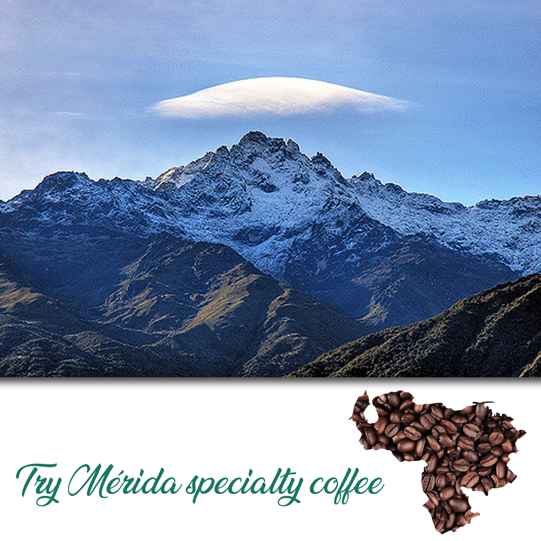 That Coffee Roasters: From Venezuela with Love: Venezuelan Specialty Coffee