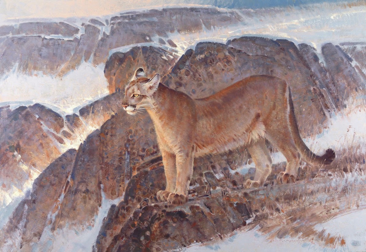 Jim Morgan Art: Current Works