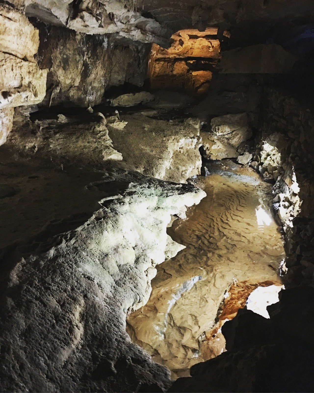 Sensory Overload: Sequoia National Park (Giant Trees and Marble Caverns)