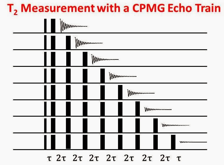 University of Ottawa NMR Facility Blog: Echoes, T2 Measurements and ...