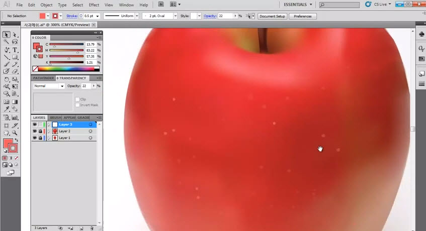 How to Create mesh tool in Illustrator - Graphic Cad Draiwng