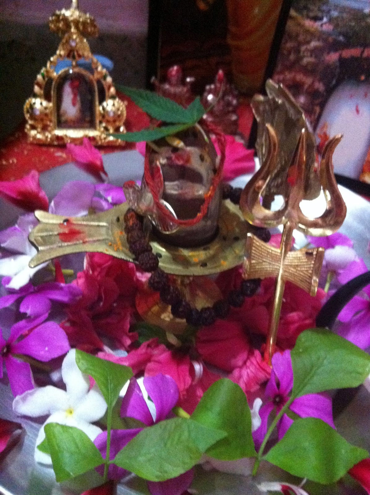 Hindu Station: Shiva Shiba Shib Siva