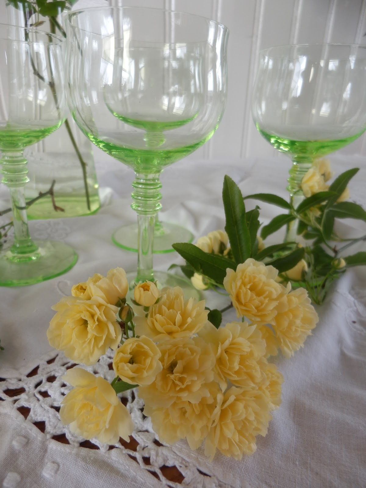 Het Bloeiende Buitenleven: DE EERSTE ROZEN (in mijn kas)