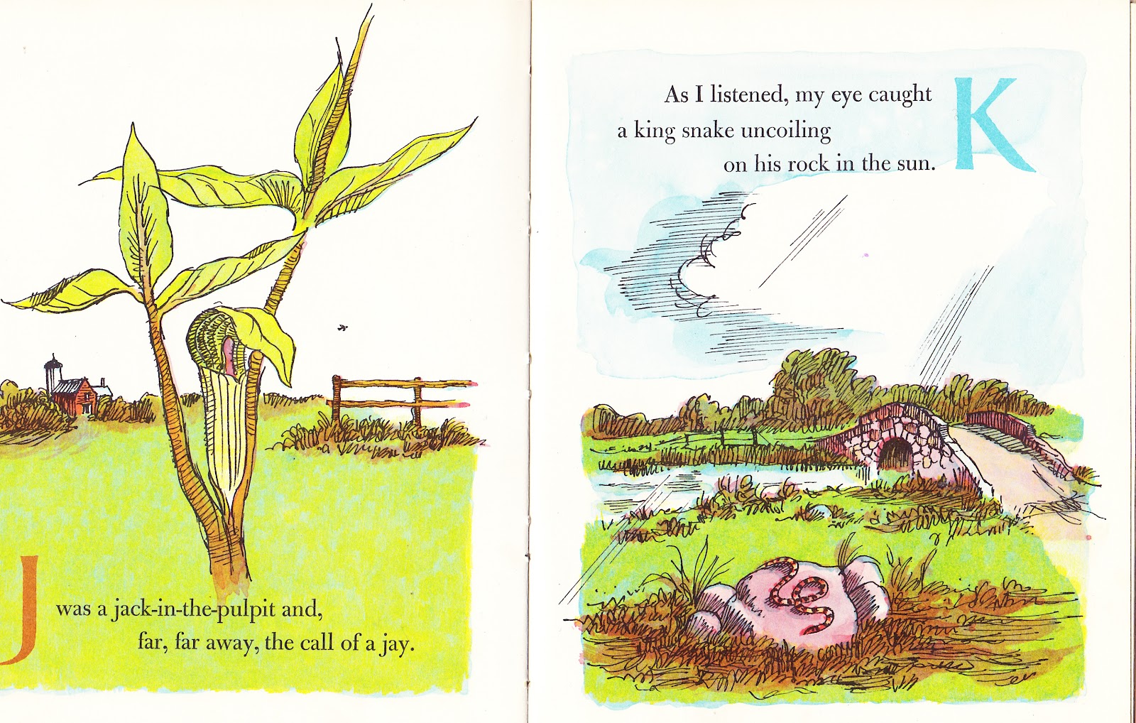 the marlowe bookshelf: The City-Country ABC