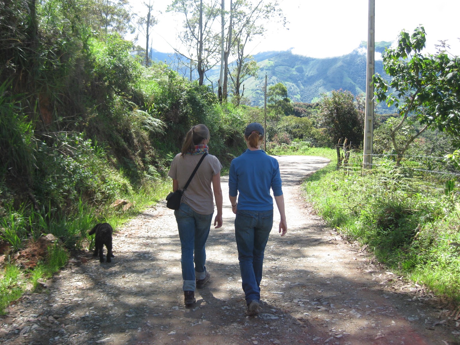 Jordan in Ecuador: Paccha, El Oro