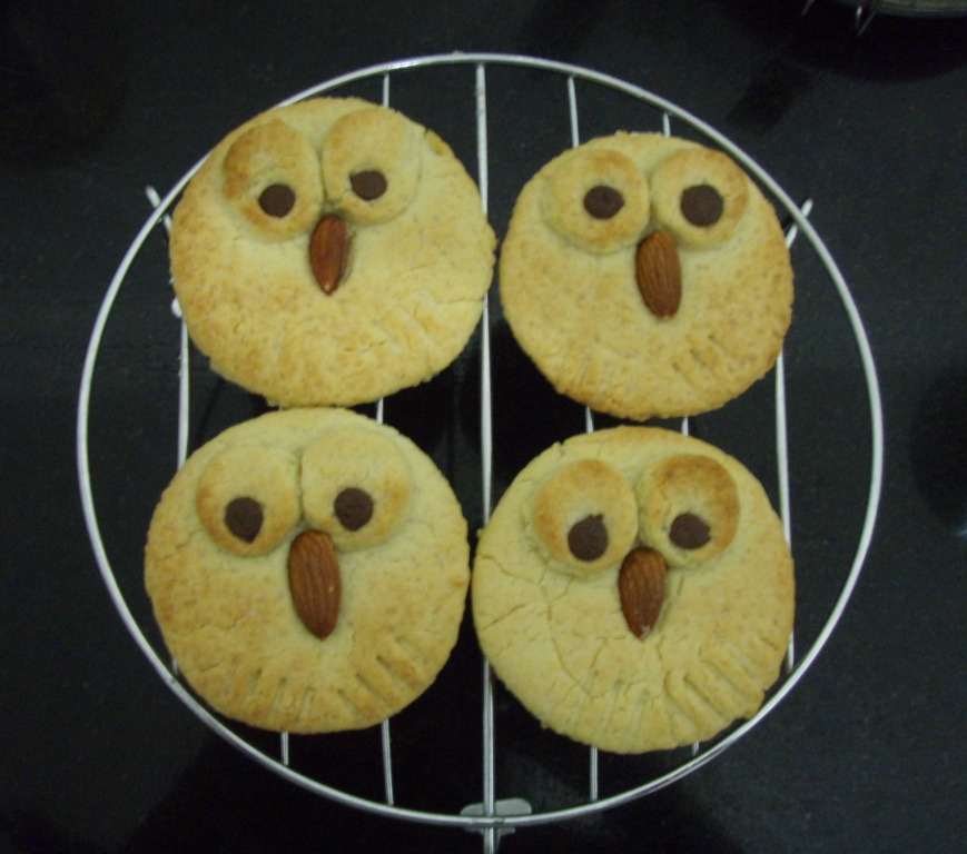 Owl Cookies ~ Goan Recipes n More