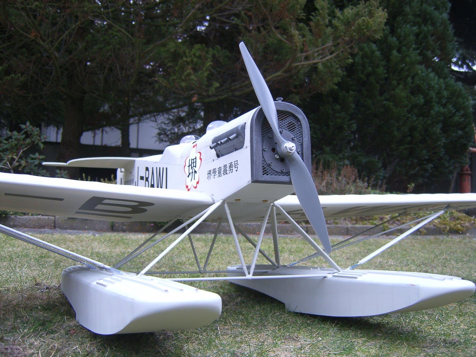 WildEagles: Hansa Brandenburg W29 by Thilo-Arndt Möller Pt. 3