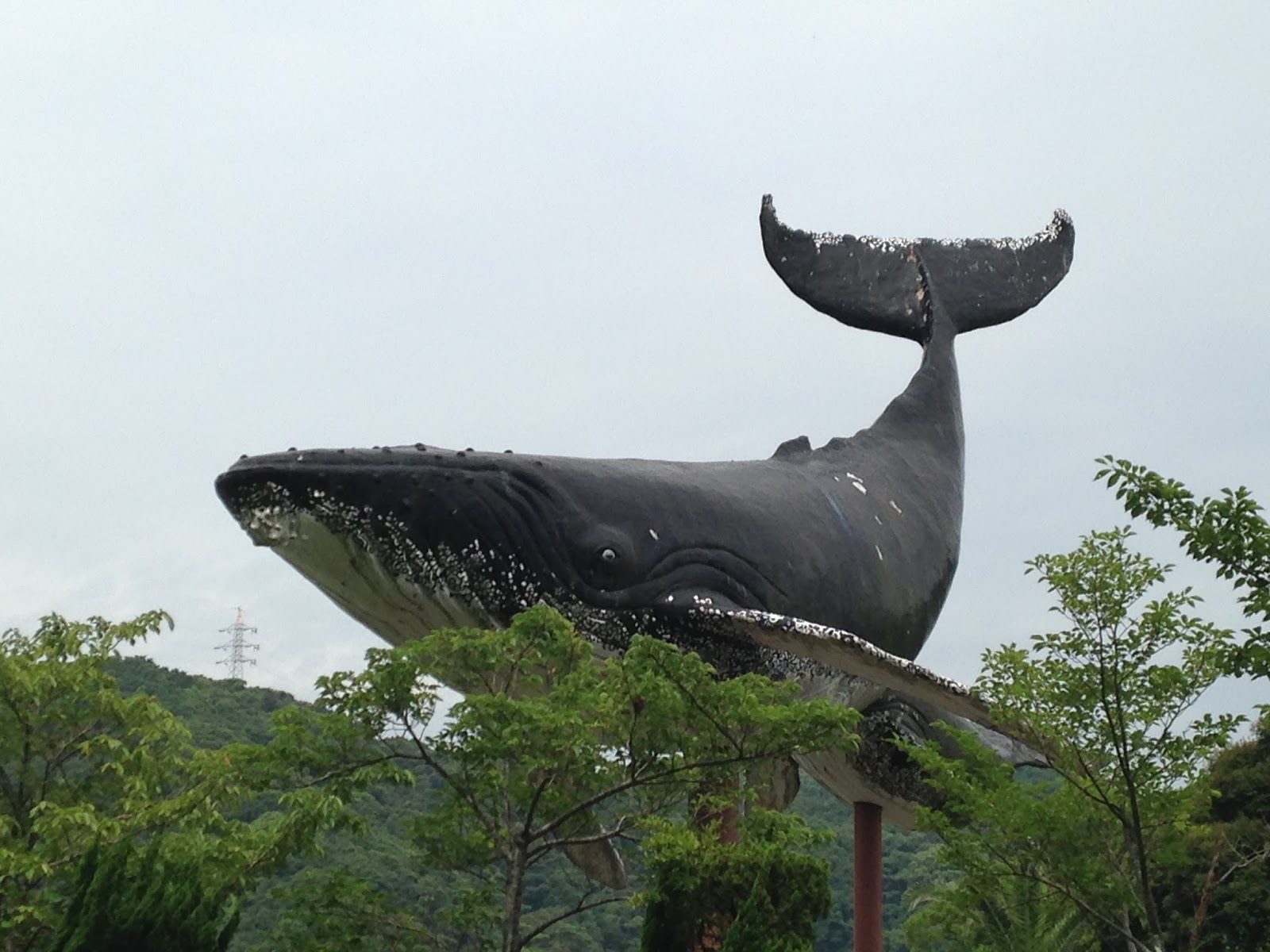 Gragma's Yokai Tourbus: xxvi. Taiji Bay (太地湾) or Taiji (太地) Part 5 ...