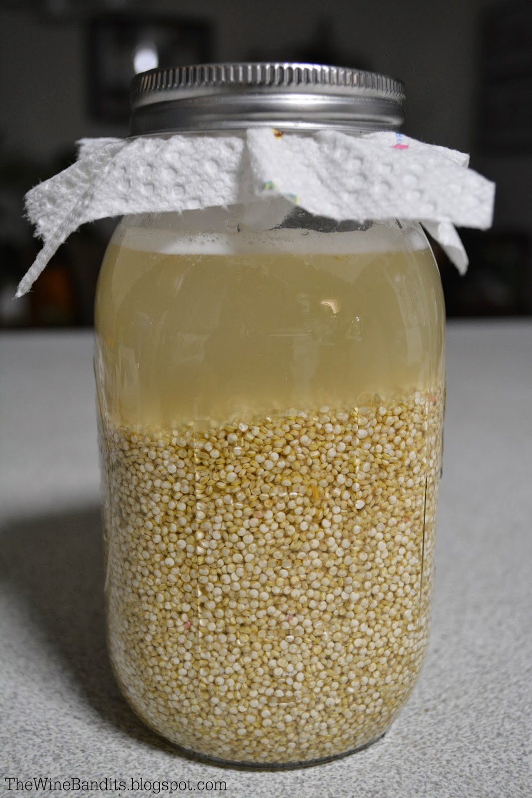 The Wine Bandits: Sprouting Grains For Newbies & Easy Sprouted Quinoa ...