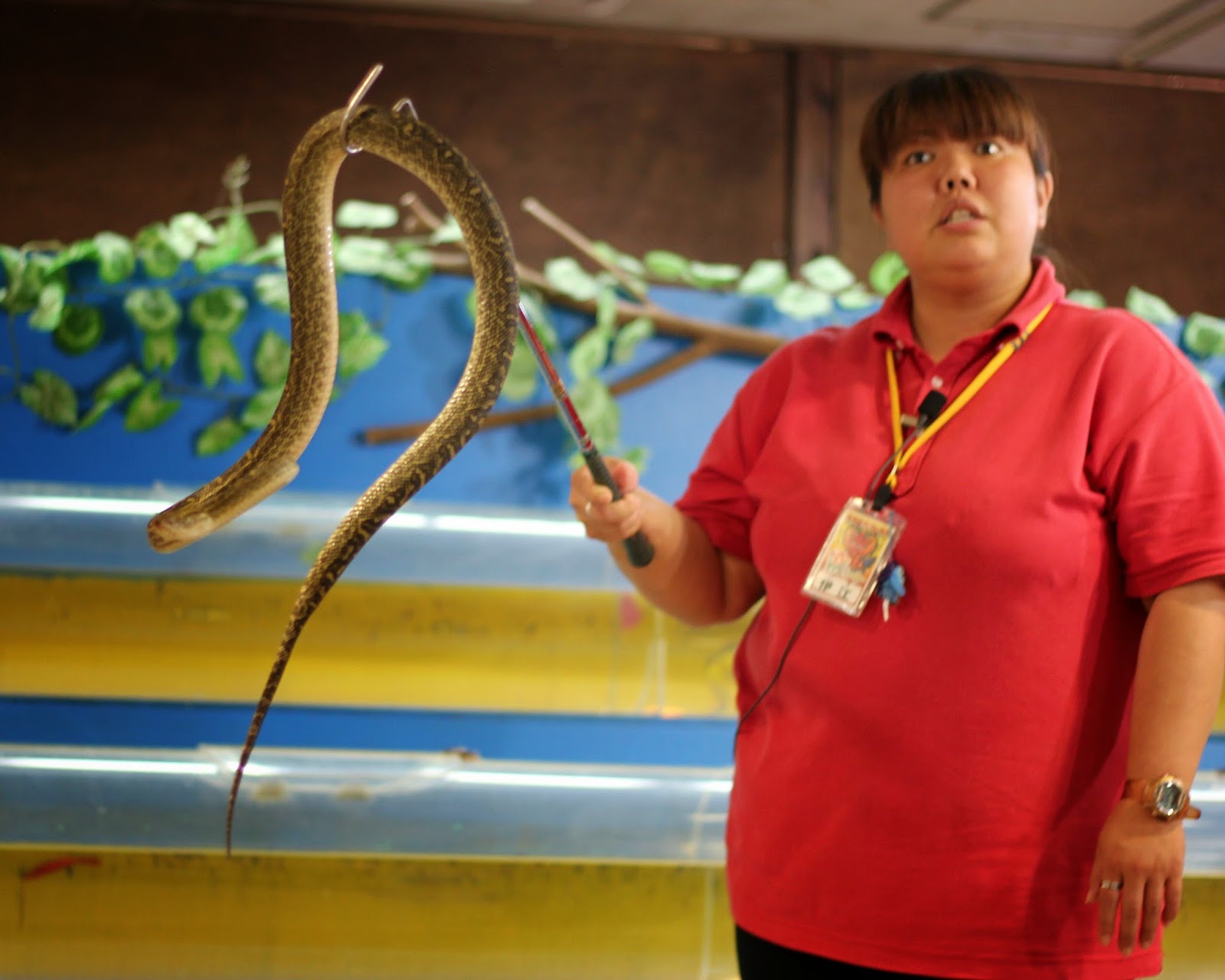 Musings in Mongolia: last blog from Okinawa - on to Shanghai