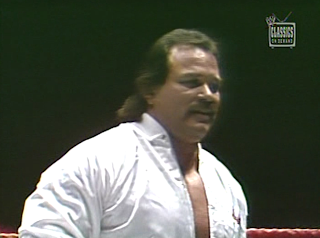 Steve's Graps: WWF Primetime 2-11-88