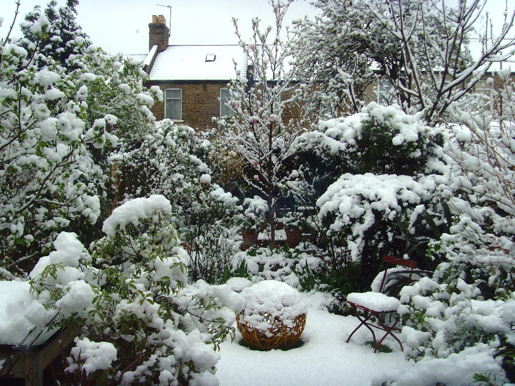 THE BASKETRY GARDEN: SNOWTIME