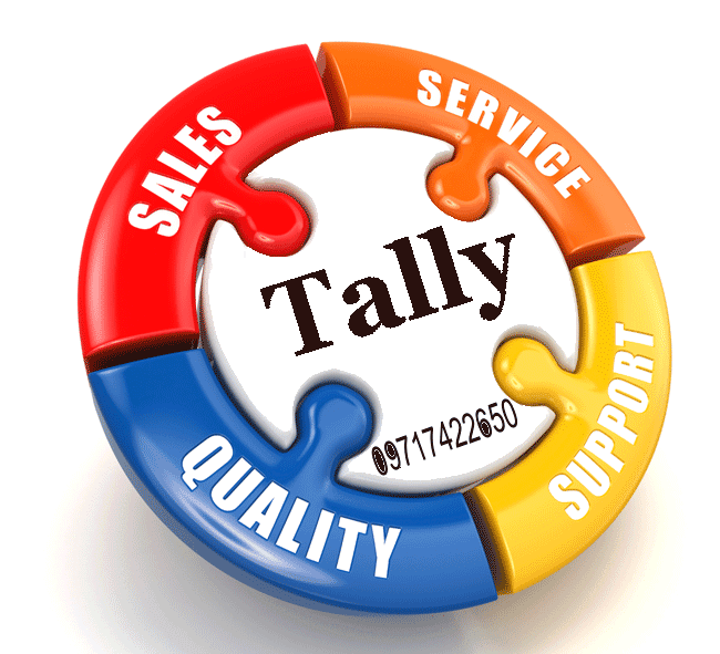 Tally Supports Delhi