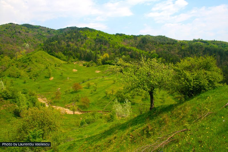 Calator in Paradis - Bisoca, Buzau
