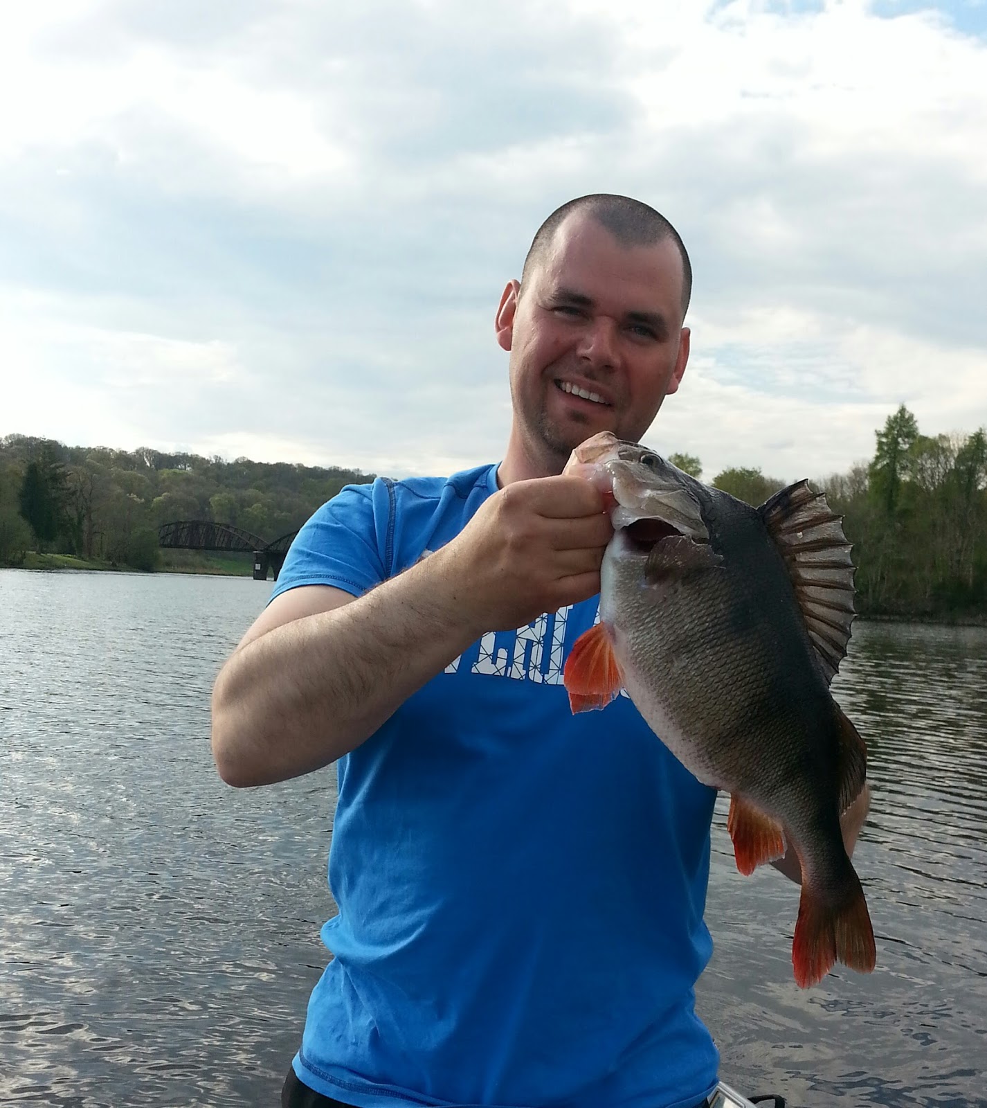 Fishingmegastore Fish of the Month Entry May 2016 - Scottish Perch!