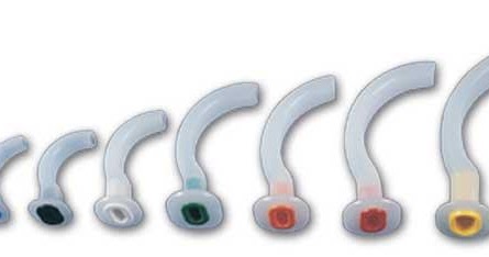 Tubo de mayo: El tubo de mayo